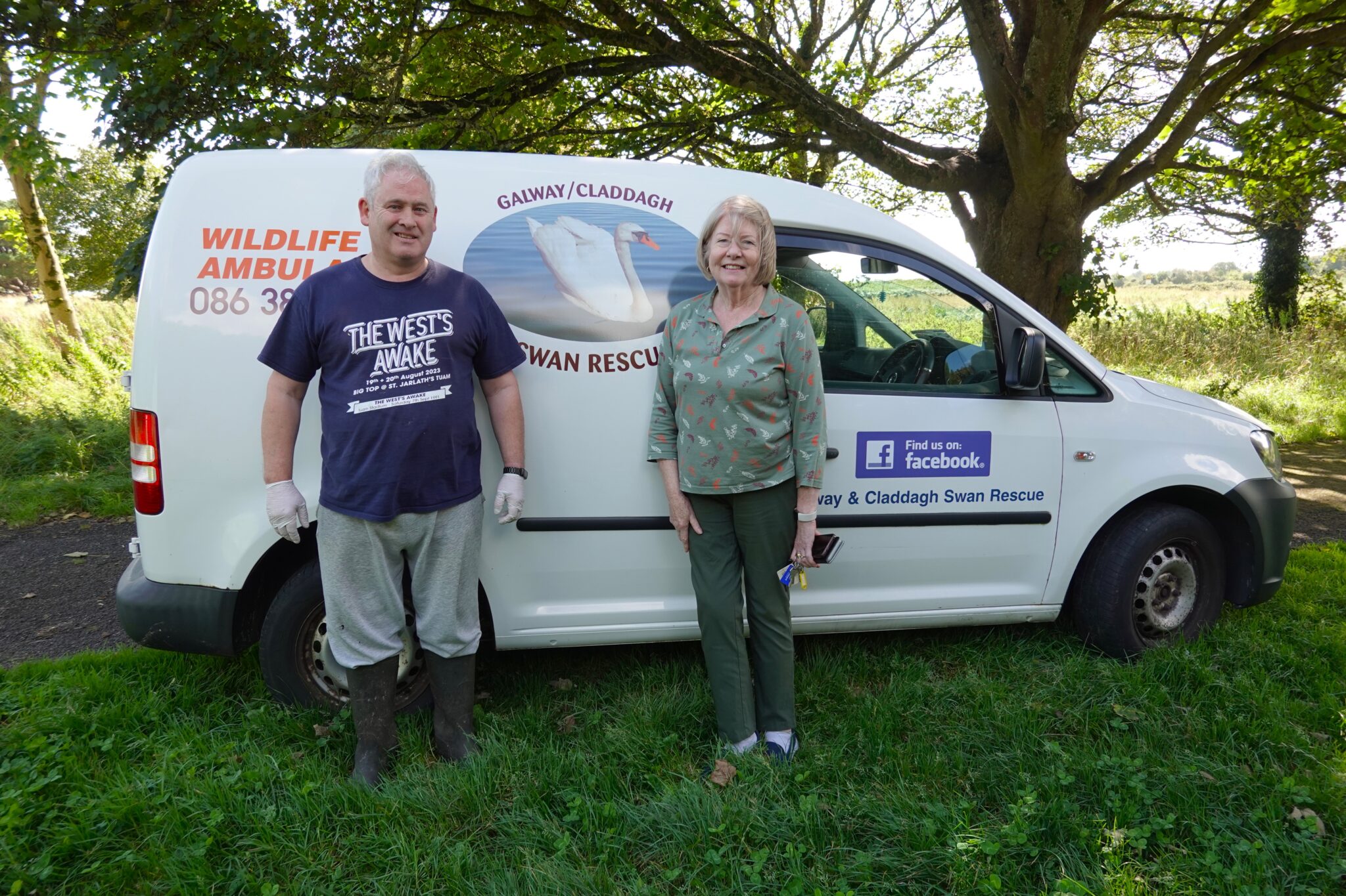 A Visit to Galway's Swan Rescue - Mute Swan Society